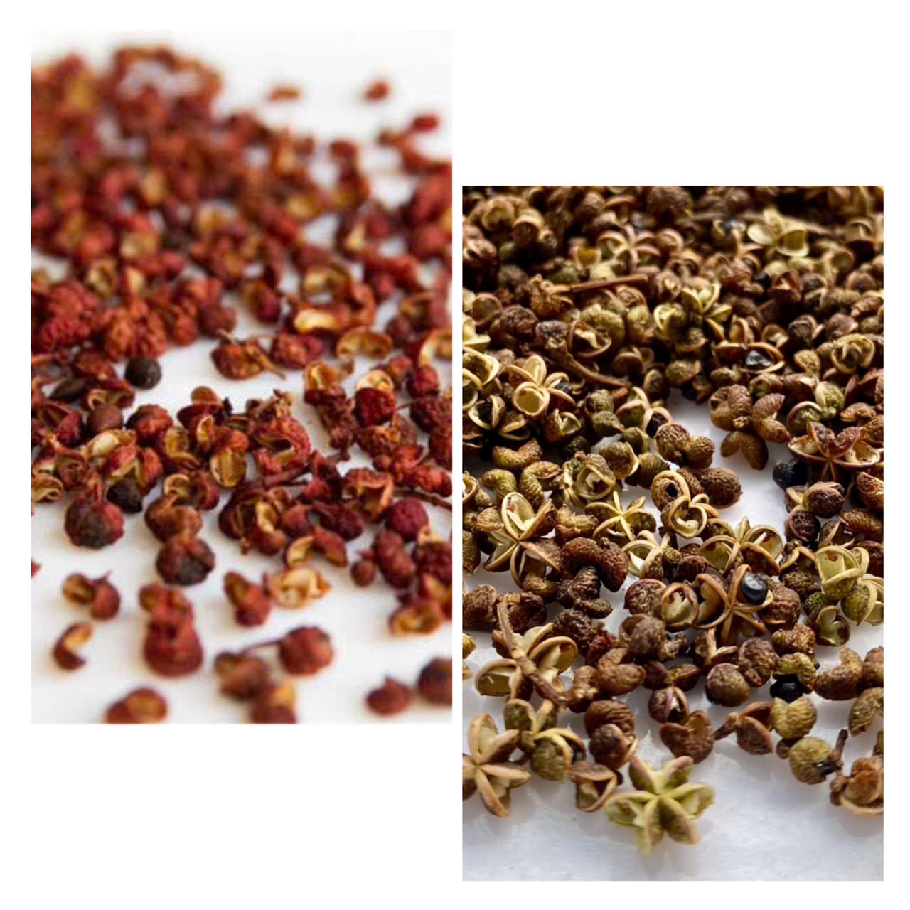 How to distinguish Sichuan and Mac khen pepper (Wild pepper) - Doispice ...